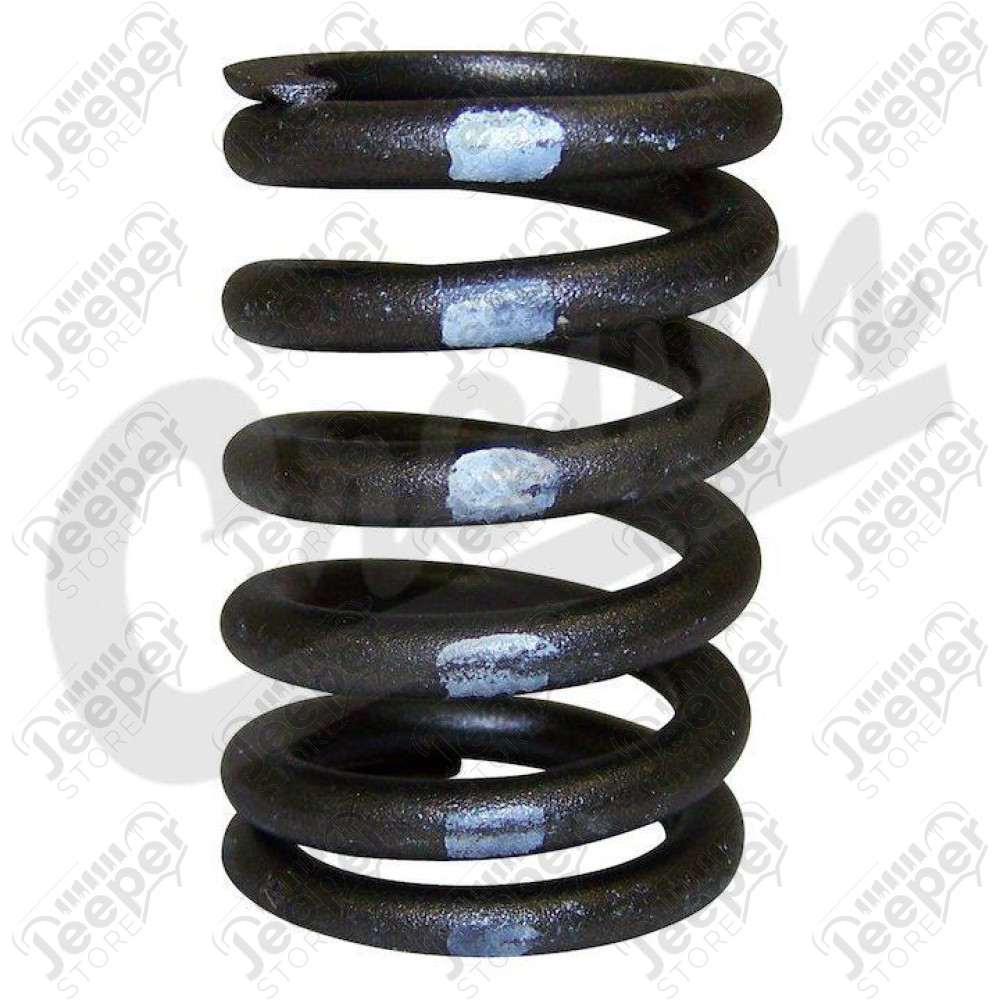 Valve Spring